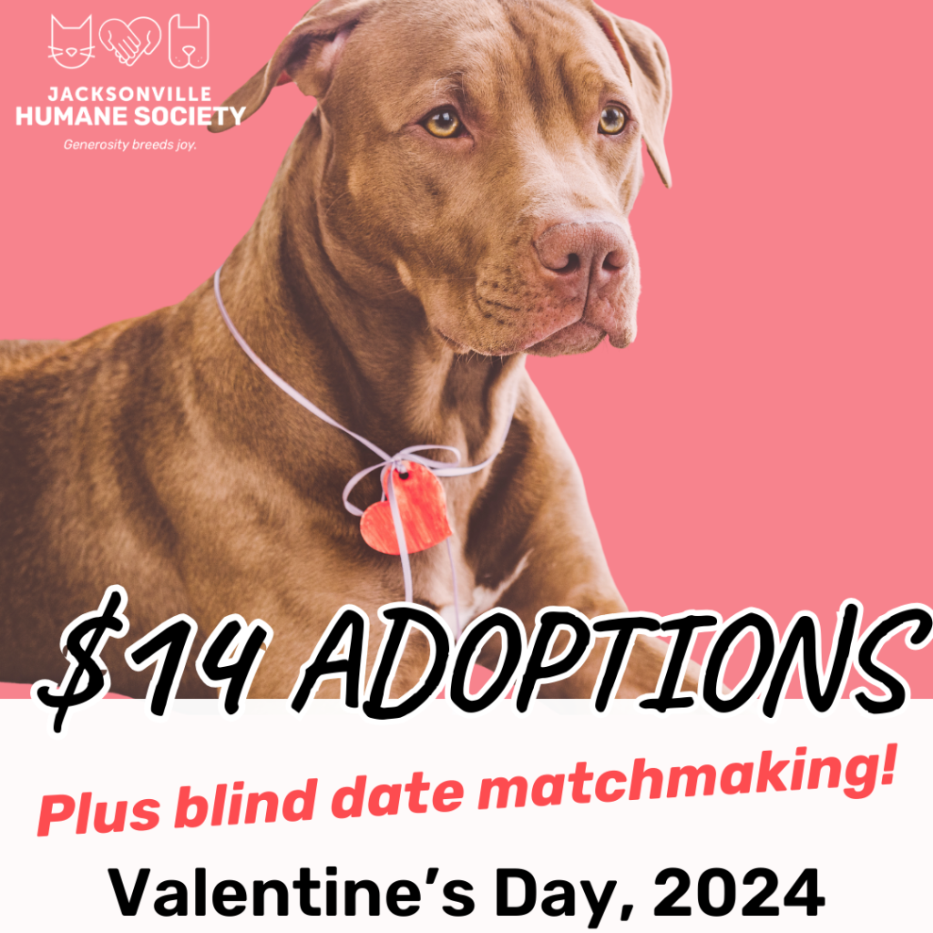 Upcoming Events - Jacksonville Humane Society