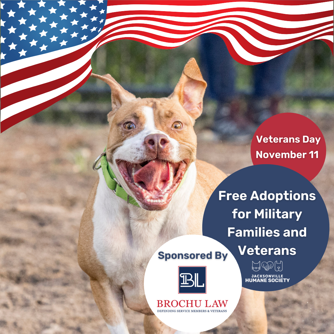 Pets For Vets Free Adoption Event Jacksonville Humane Society Pets For Vets Free Adoption Event Jacksonville Humane Society