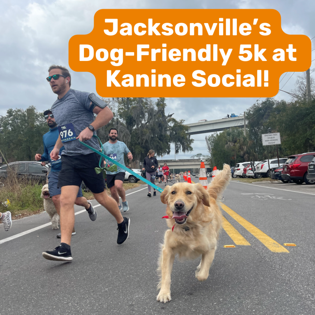 Kanine Social Chasing Tail 5K and VyStar Valentine Fun Run ...