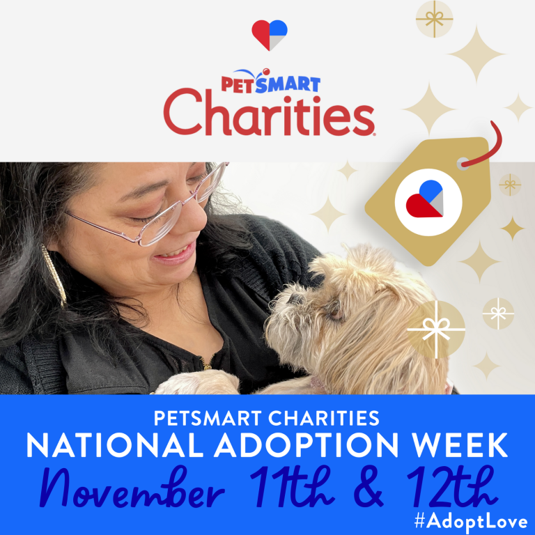 PetSmart National Adoption Weekend - Jacksonville Humane Society