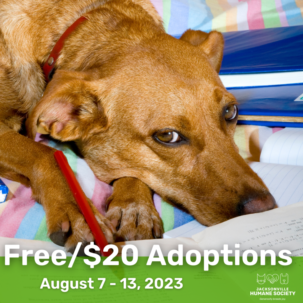 Back to School Adoption Event - Jacksonville Humane Society