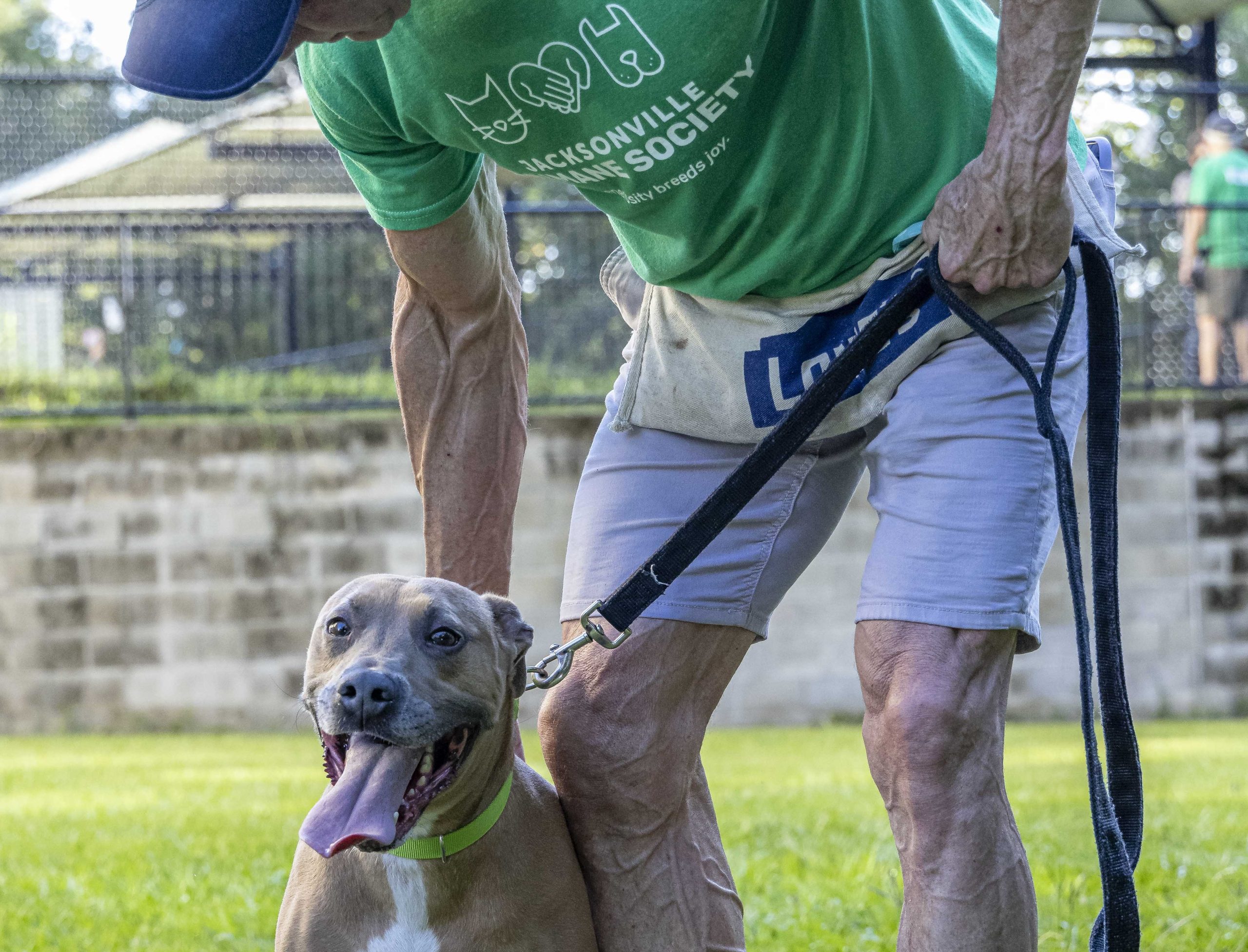 Volunteer at the Largest Pet Shelter in Florida | Jacksonville Humane ...