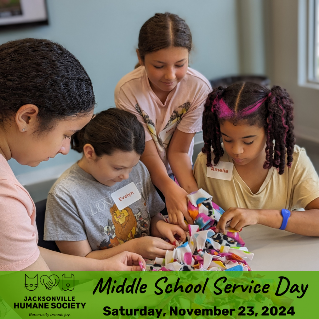 Middle School Service Day - Jacksonville Humane Society