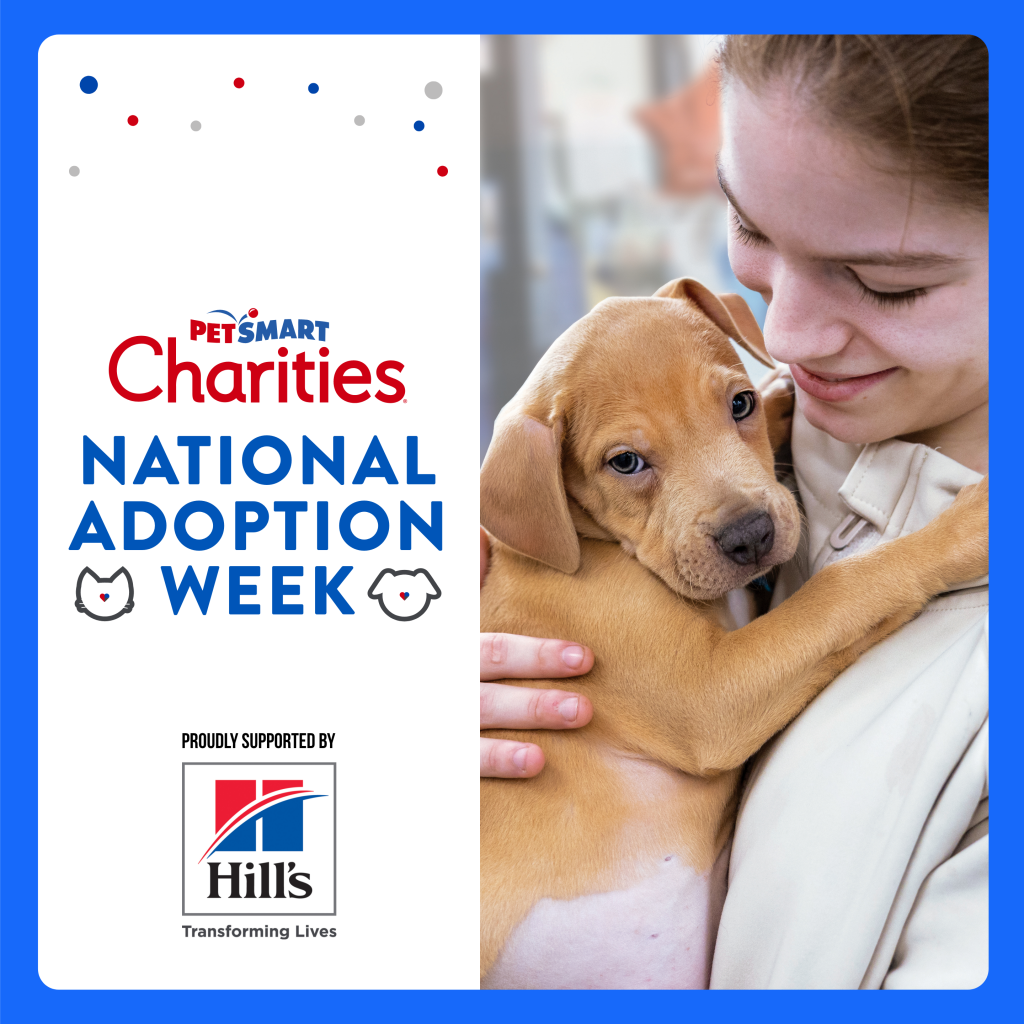 PetSmart National Adoption Weekend - 3 Locations! - Jacksonville Humane ...