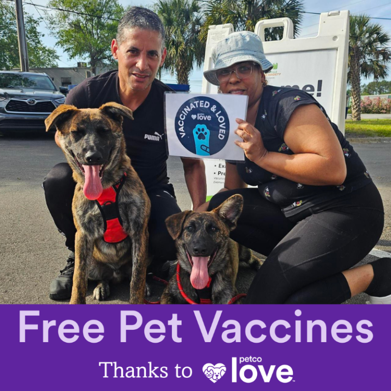 FREE PET VACCINES - 1 Day Only at JHS - Jacksonville Humane Society